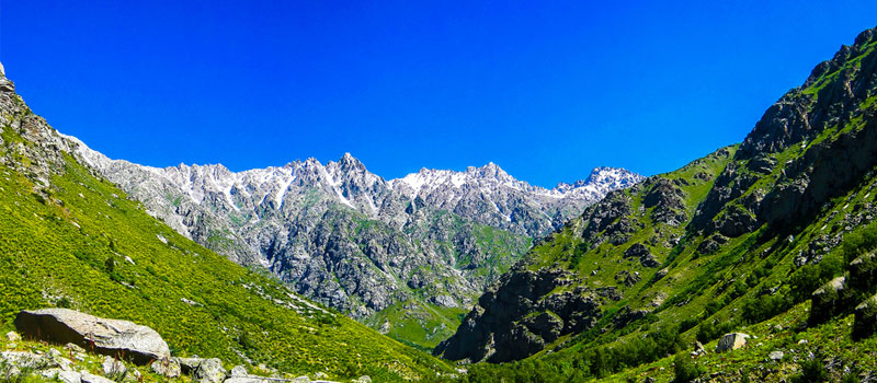 Why is Vraylar So Expensive? Less Price at Canada Pharmacy